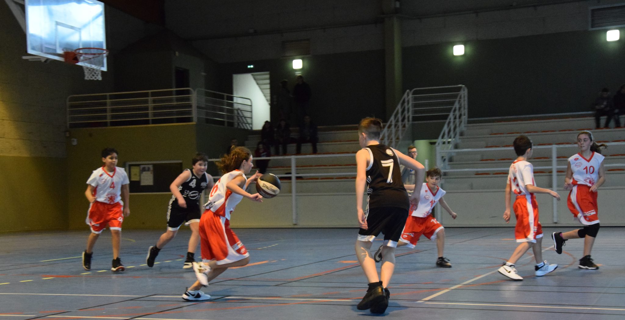 LA FFBB acte la fin des championnats